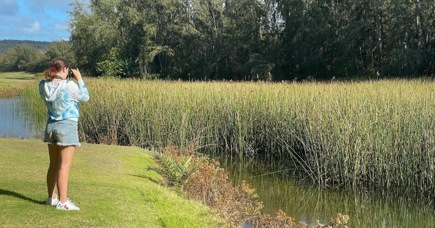 Shaka Safari Turtle Bay Tours in O’ahu, HI | Shaka Kayaks